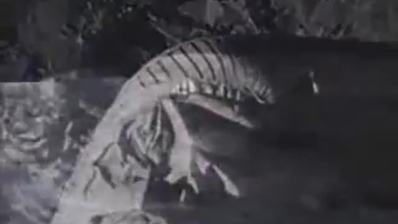 Neil Armstrong First Moon Landing 1969