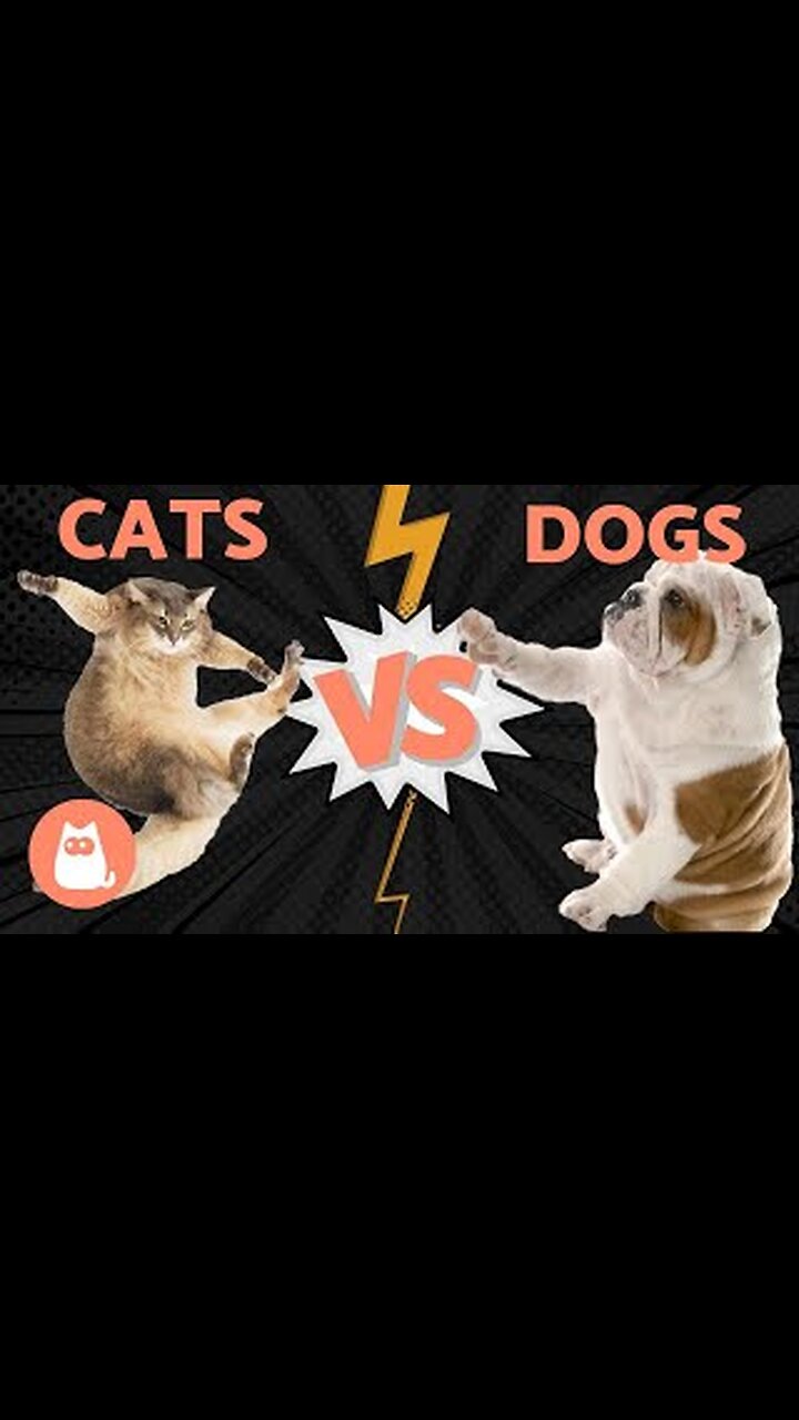 Animals Thug Life | Part 2 | Funny Animals Videos | Viral Memes