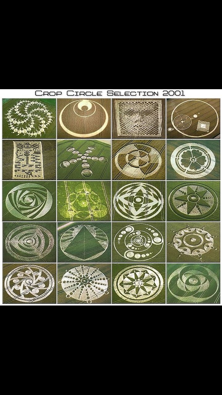 Crop Circles: The Hidden Geometry of Higher Dimensions