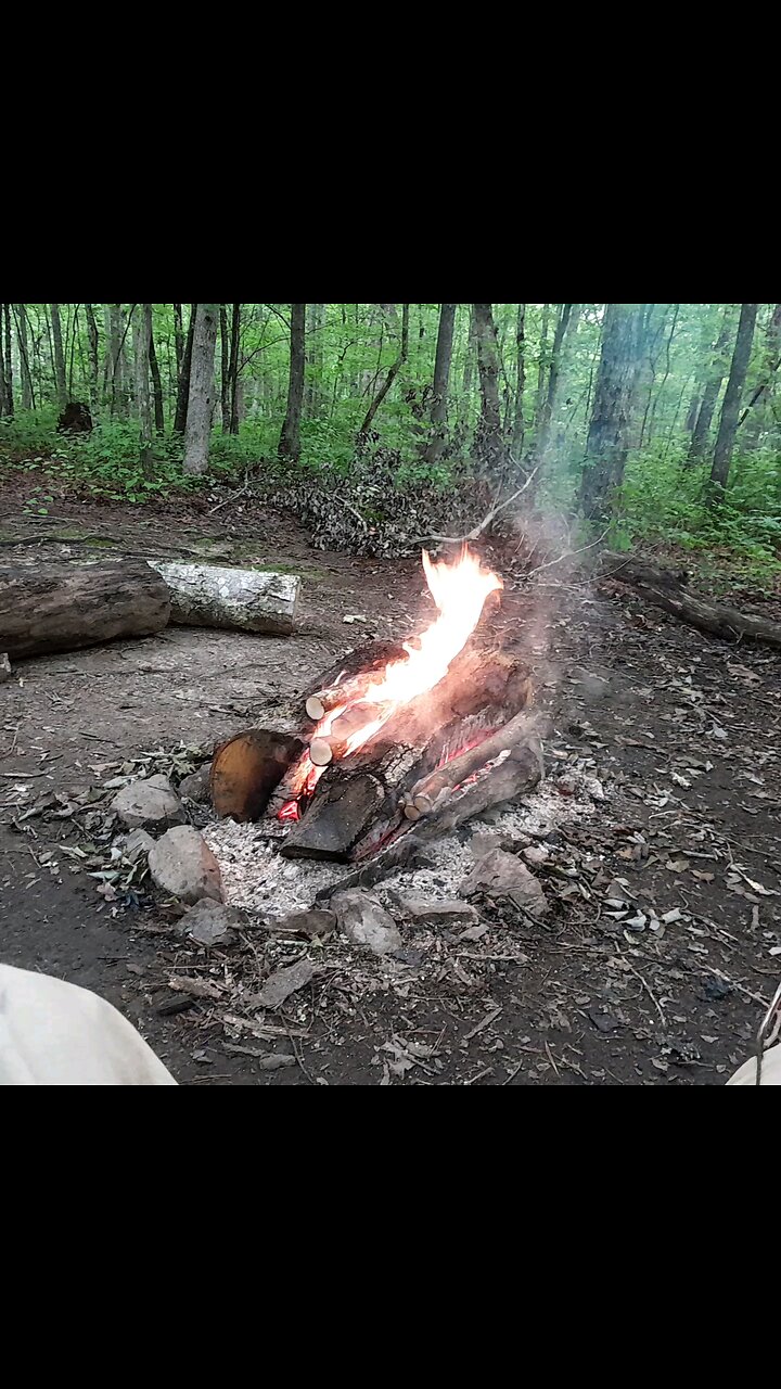 Dinky Line Campsite #4