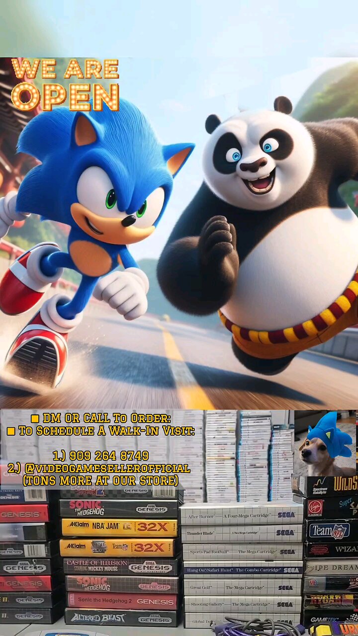 Sonic The Hedgedog And Po Racing 🥋🏁🦔