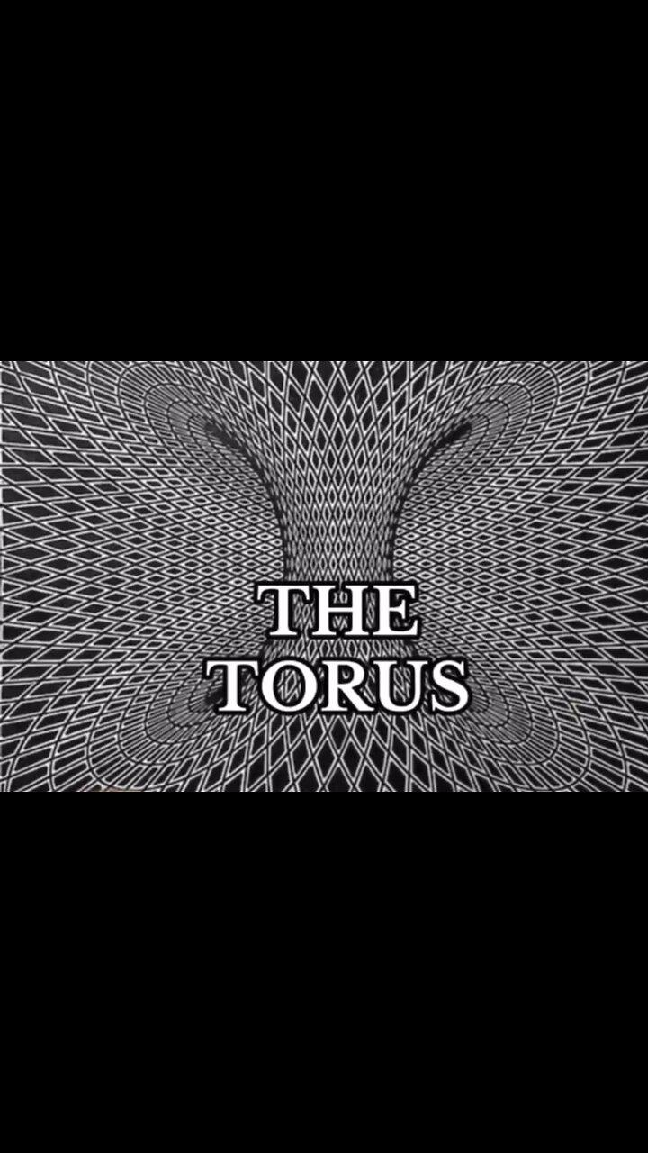THE TORUS FIELD - Our Electromagnetic Field