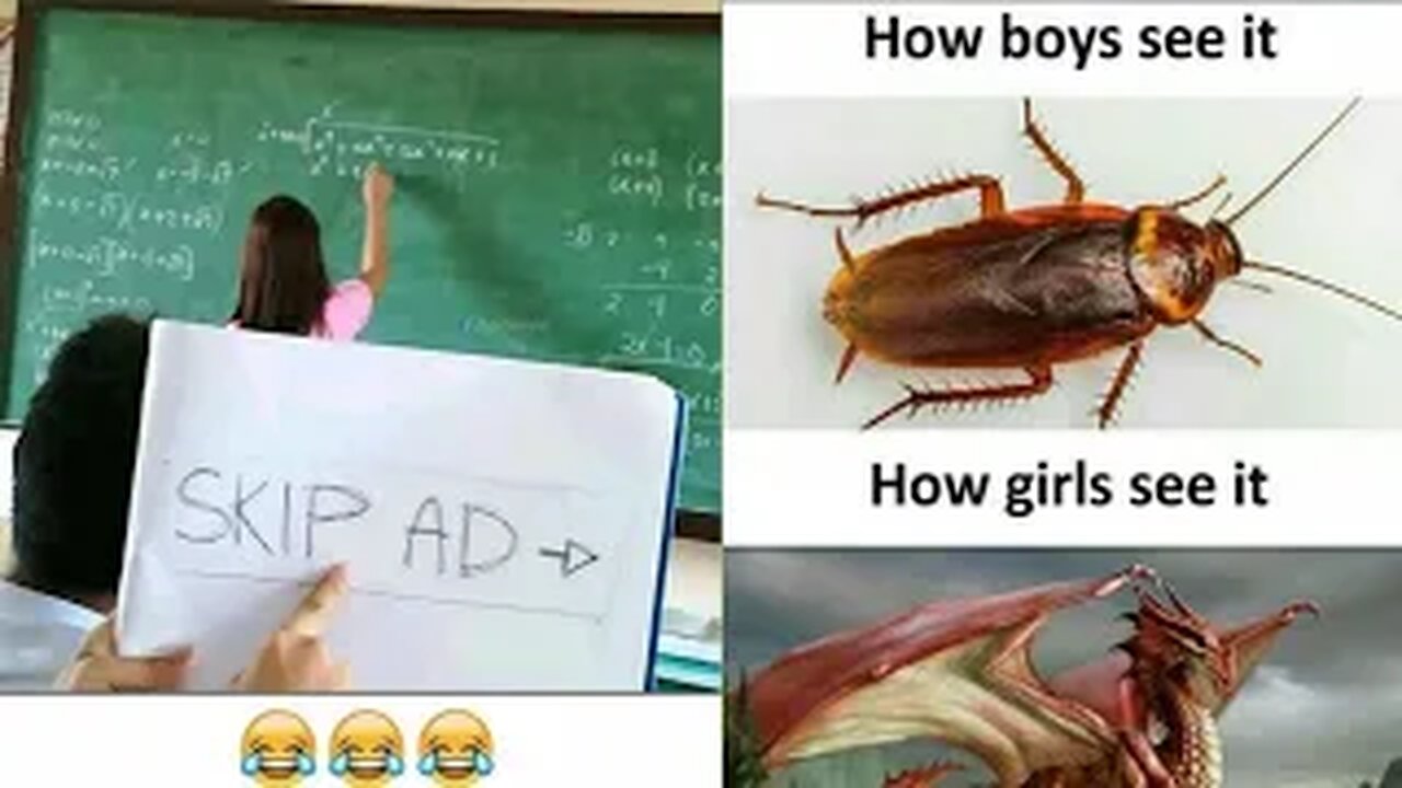 School memes only student would under stand part 1