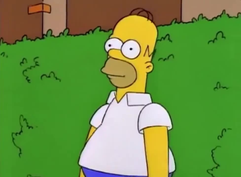 30 years since this "Homer Simpson Backs Into Bushes" scene aired on ...