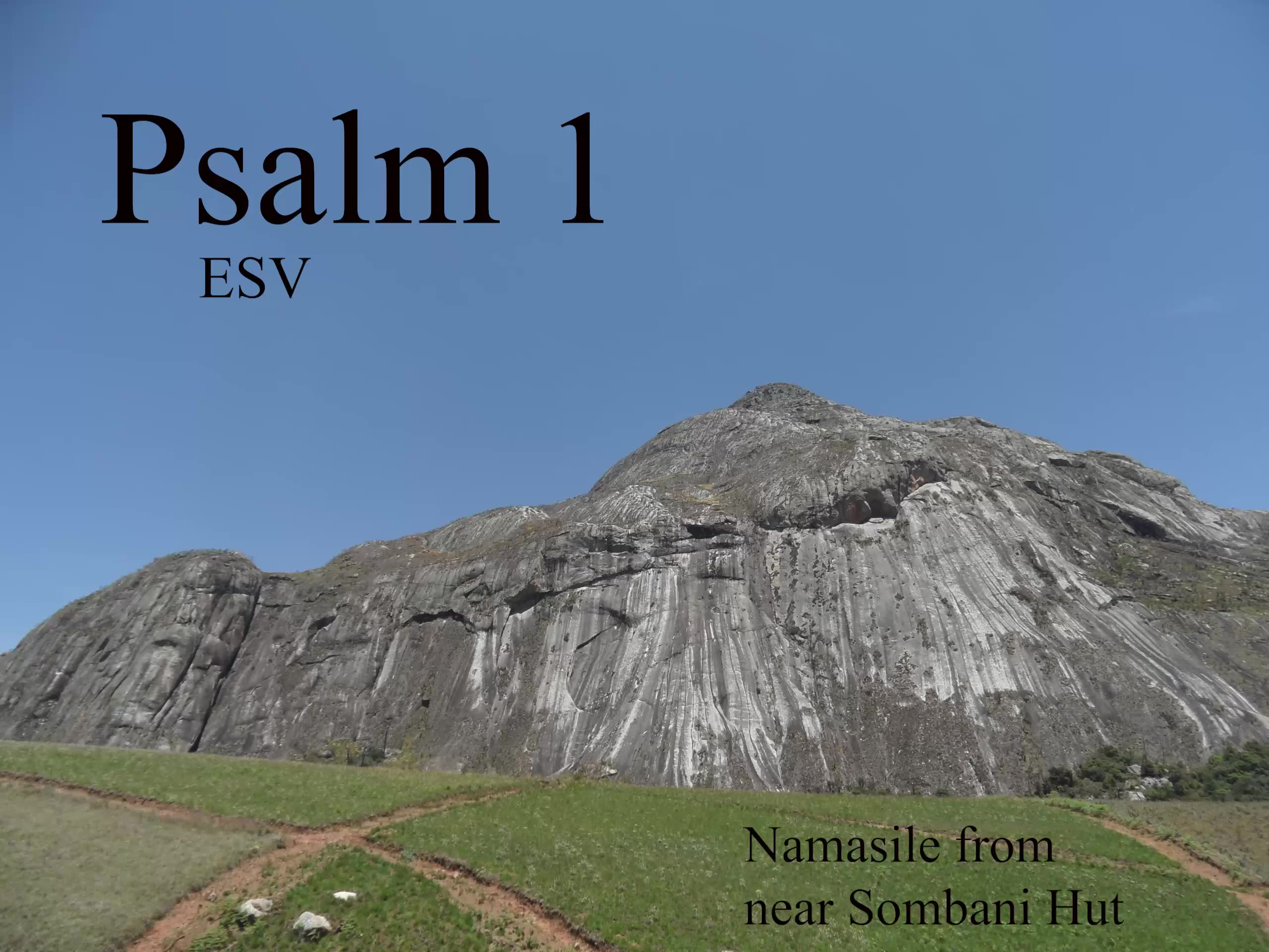 Psalm 1 (ESV) - Hear the Psalms and Repeat