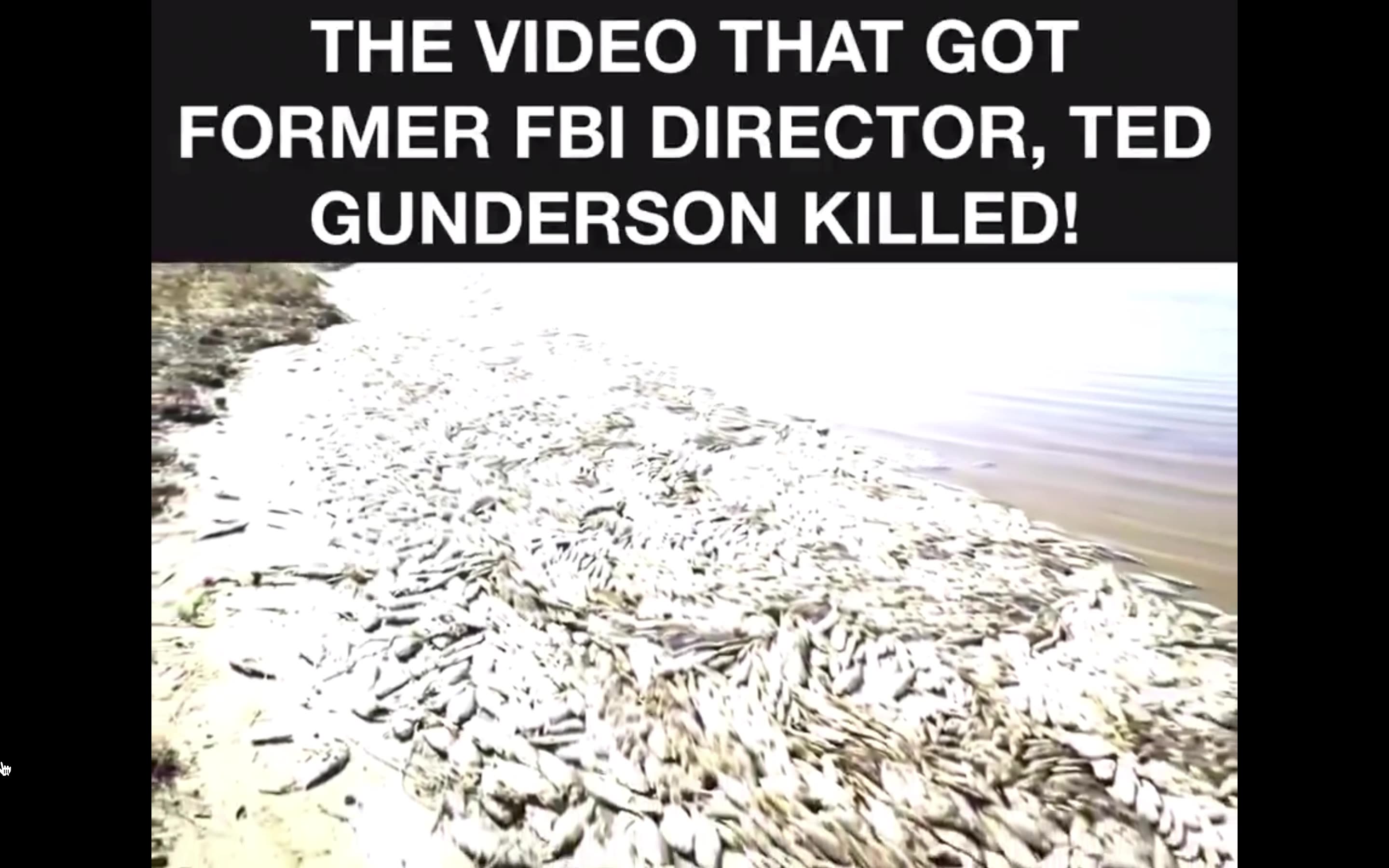 Ted Gunderson Chem Trails