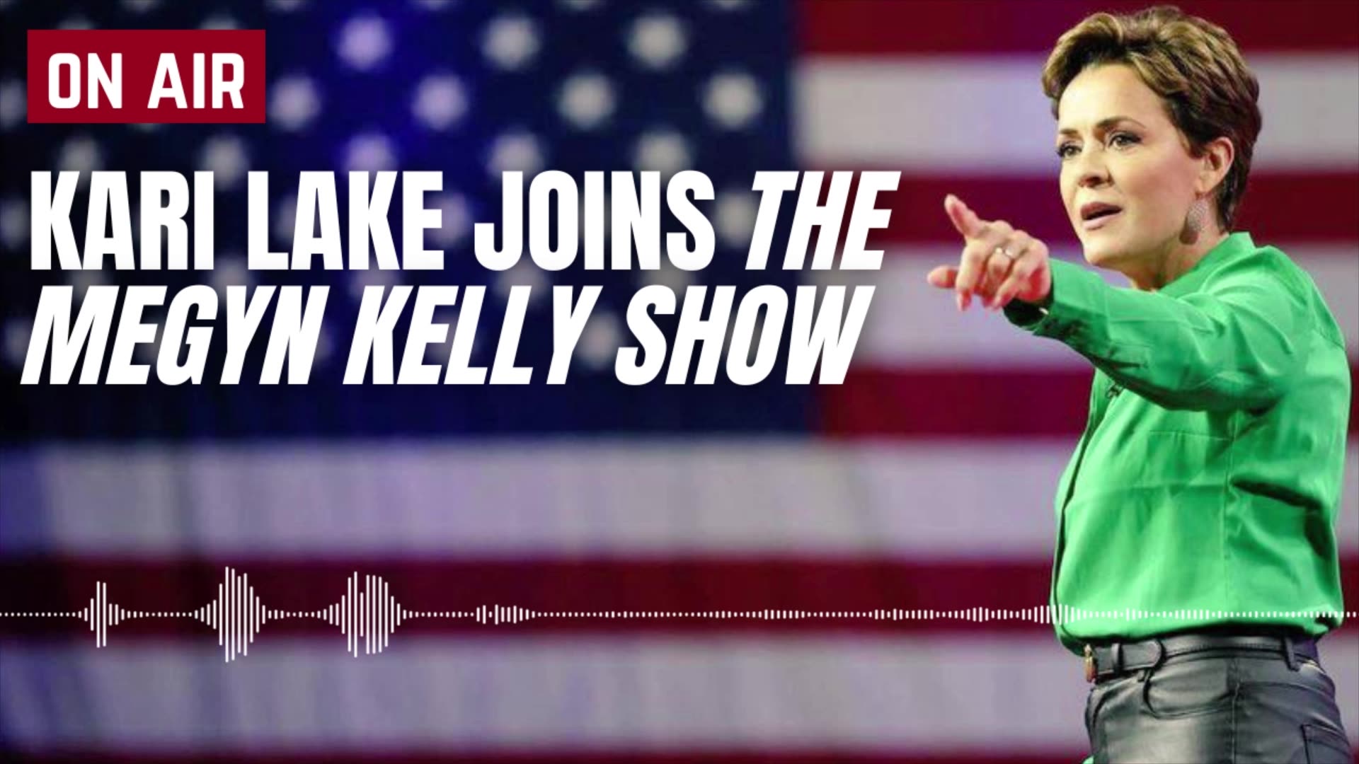 Kari Joins The Megyn Kelly Show