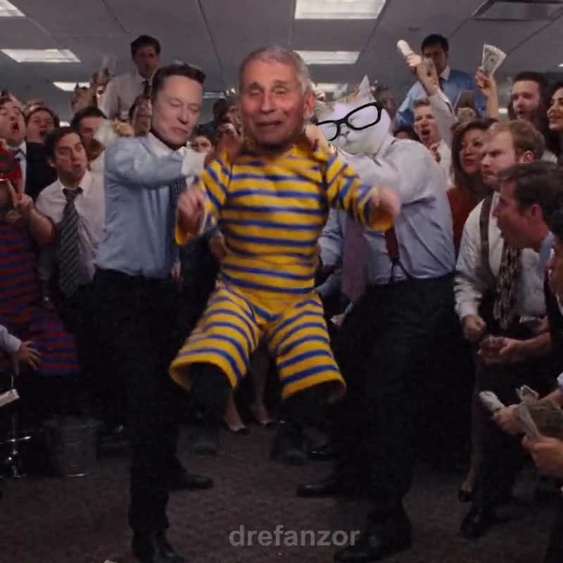 elon musk and catturd toss fauci into jail meme