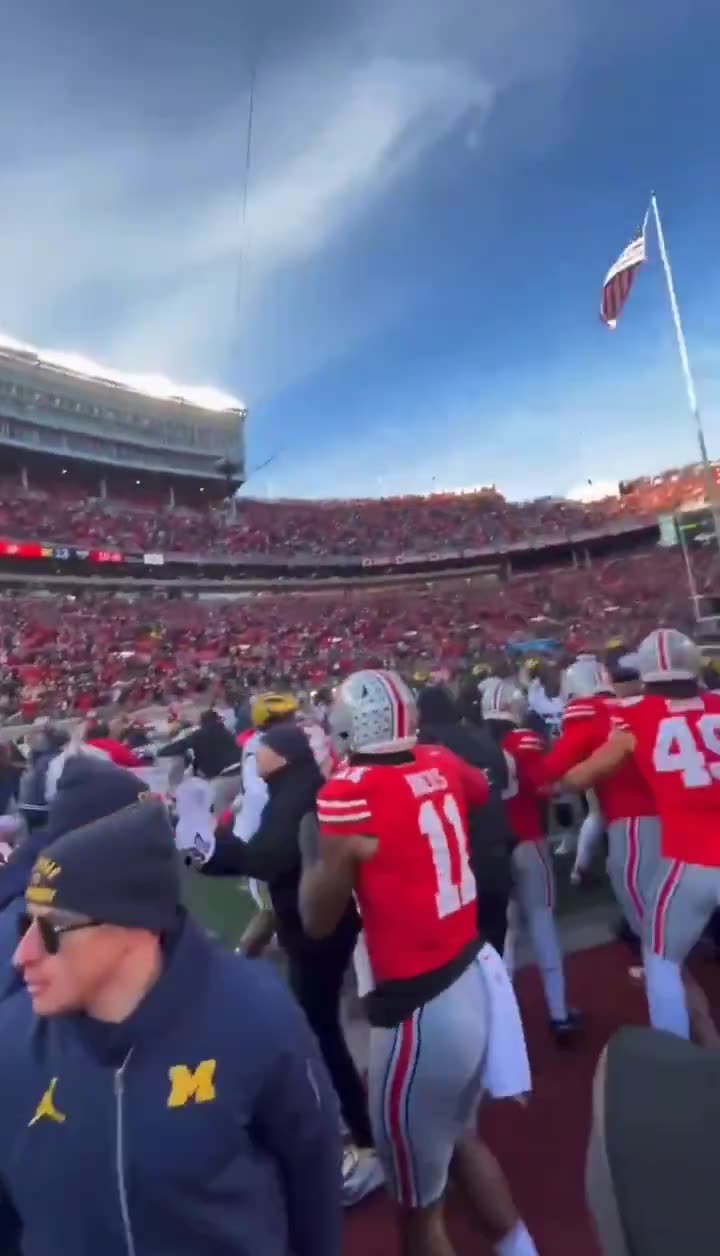 The on-field angle of the fight between Ohio State and Michigan