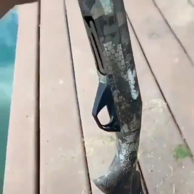 Shotgun Fishing Pole