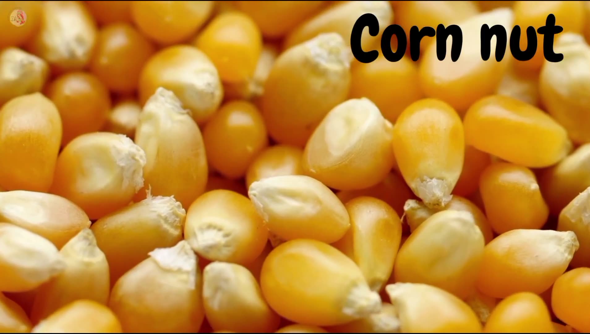 Food Vocabulary Talking Flashcards Educational Video For Kids