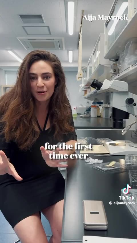 A new drug that can make human teeth regrow.