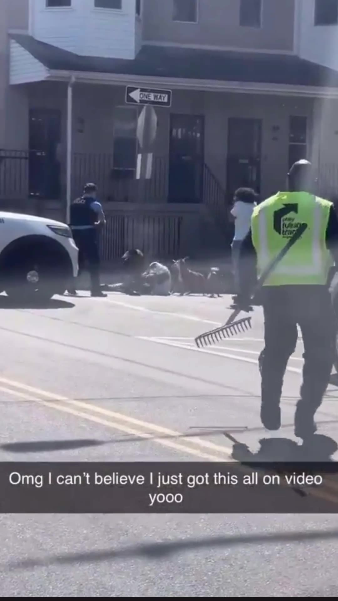 Police Shoots Dog Dead !! Pit Bull attack