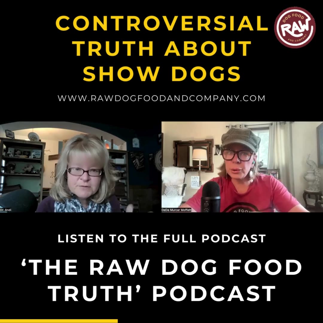 Controversial Truth About Show Dogs