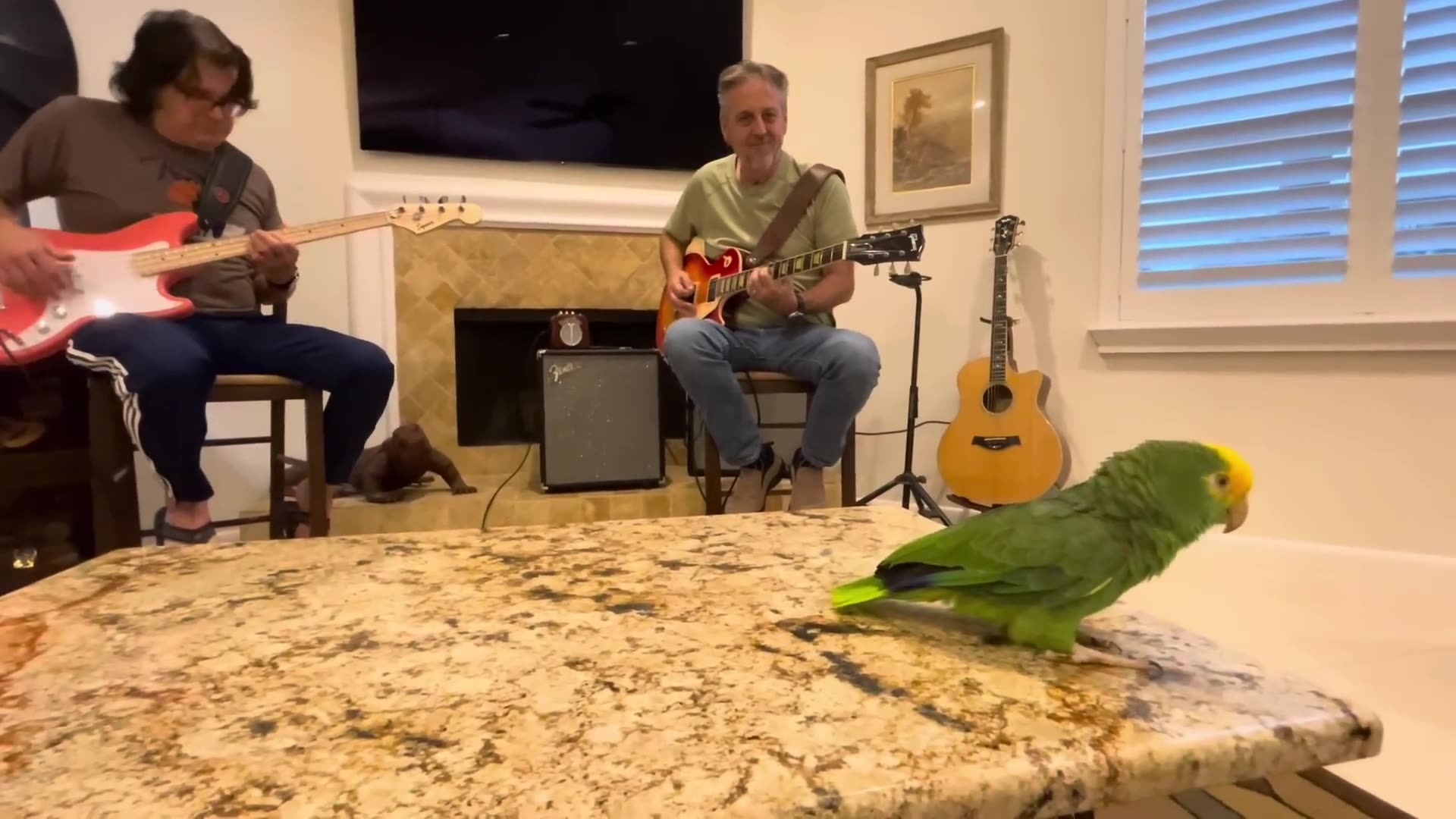 Singing Parrots