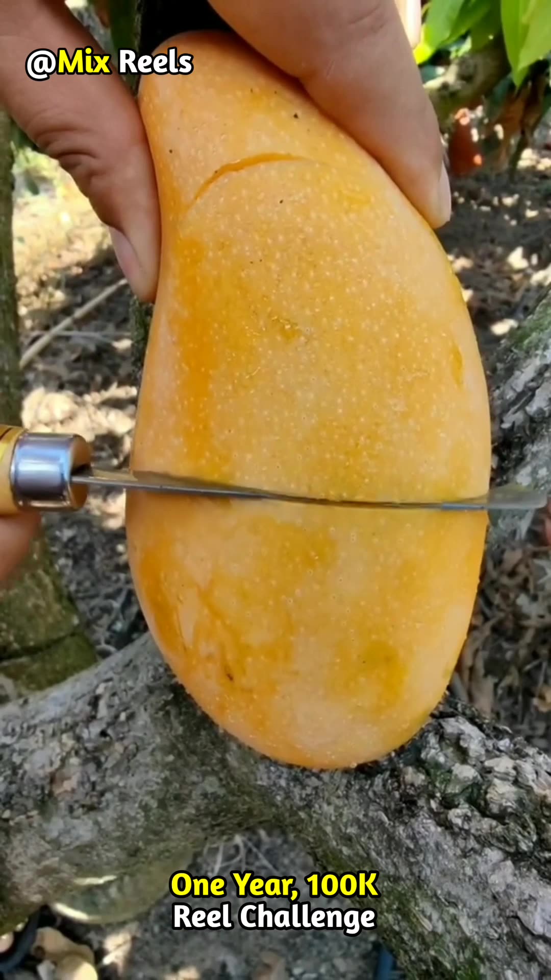 100K Reel Challenge || Reel Marathon: 100K in a Year