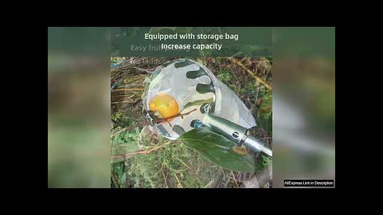 1pc Fruit Picker Tool Metal Cherry Picker Tool Fruit Picker Basket ...