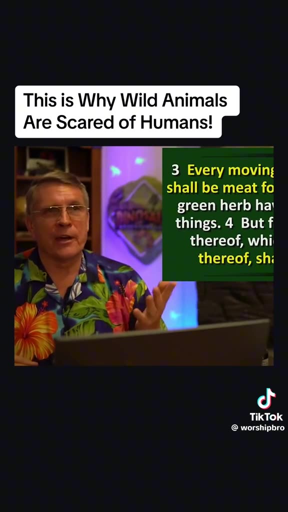 This is Why Wild Animals Are Scared of Humans!