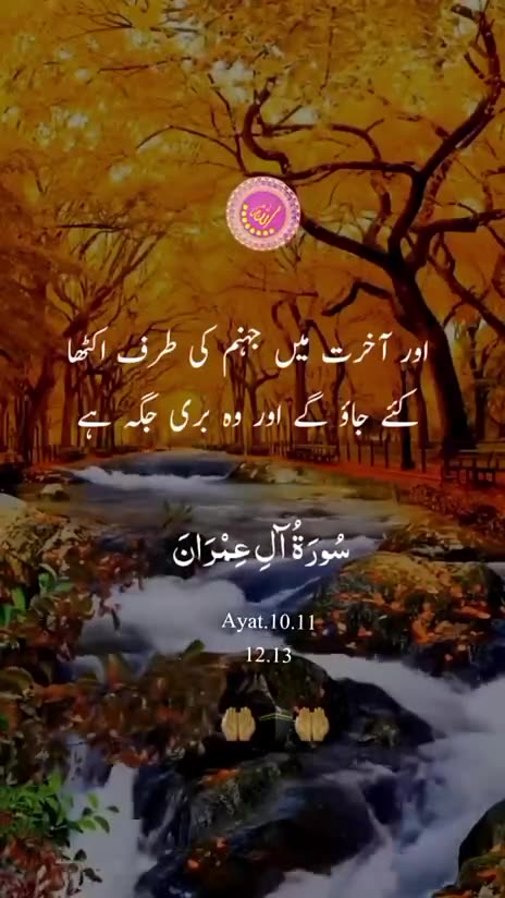 Beshak 💯