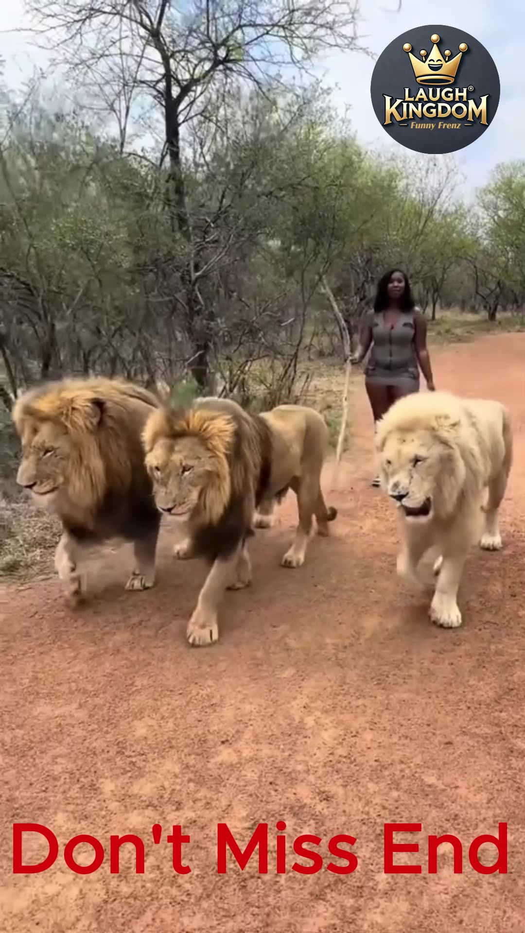LAUGH OUT LOUD with the Funniest Animal Moments! #funny #animal