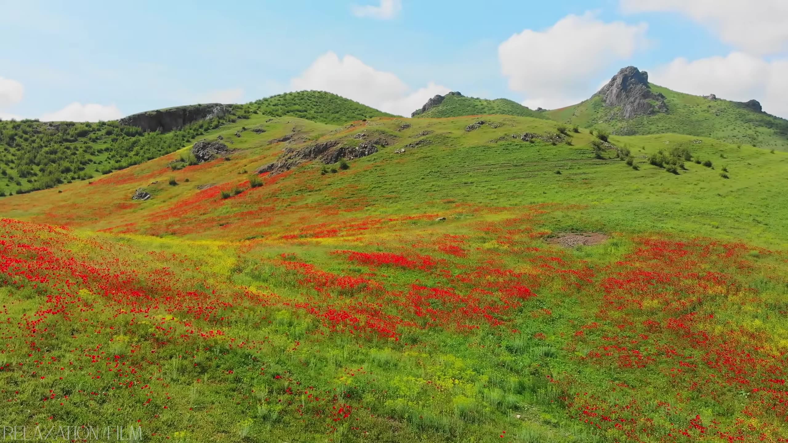 Surah Yasin | As-Saffat | Ar-Rahman | Al-Waqi’ah | Al-Mulk – Beautiful ...