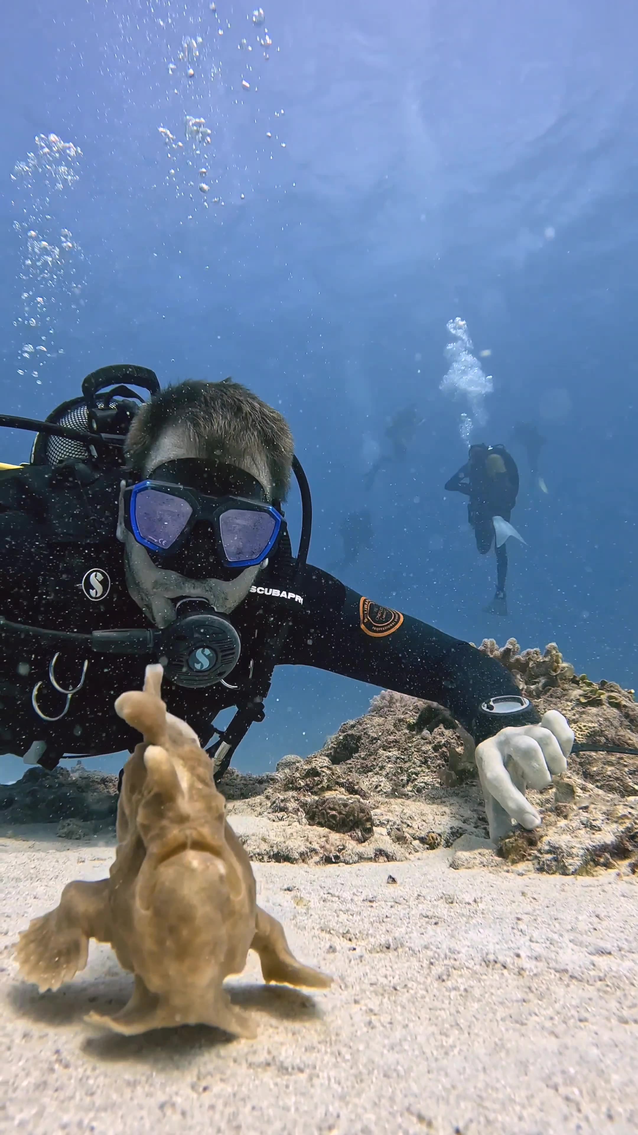 Diver Has a Rare Encounter With an Anglerfish