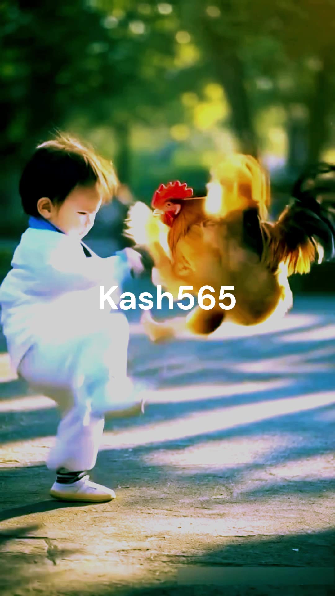 Boy Is Fighting Chicken