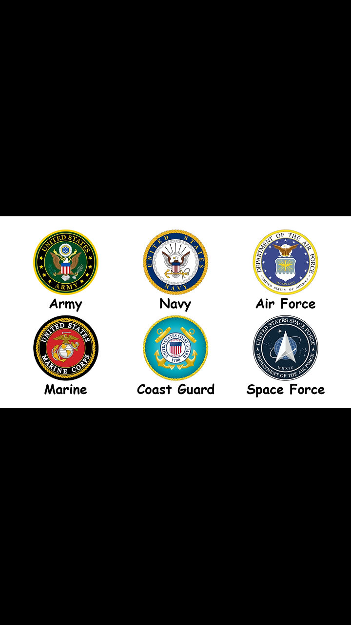 Every US Military Branch in 5 Minutes