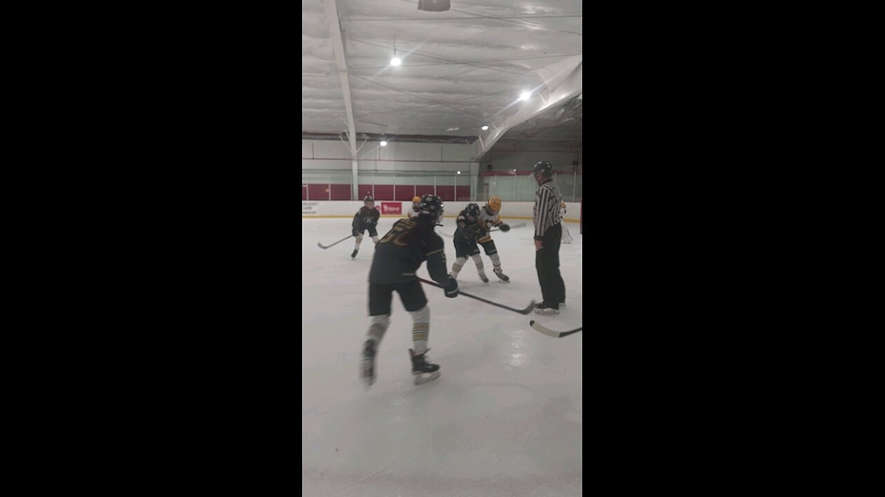honeybaked vs penselite in Detroit #hockey