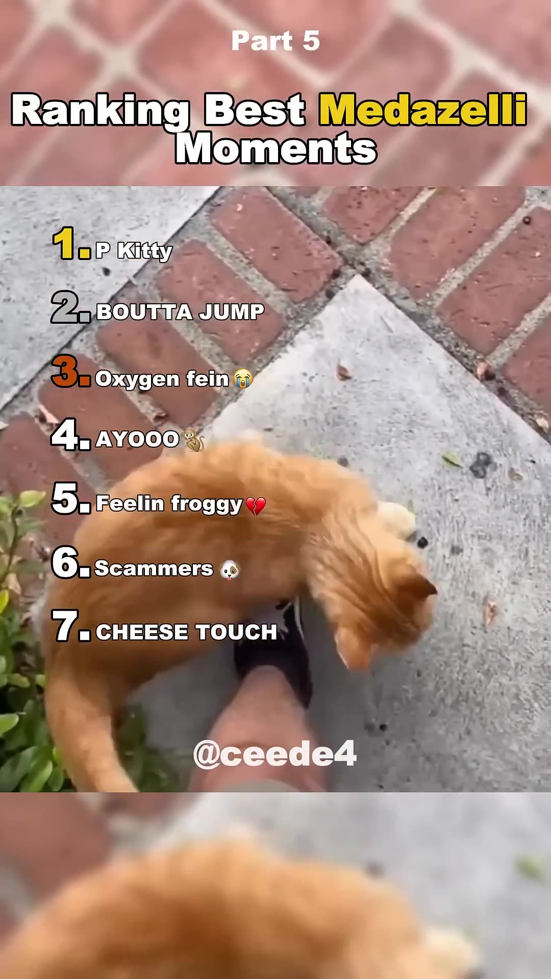 Funniest Medazelli Moments – Ultimate TikTok Ranking!🤣