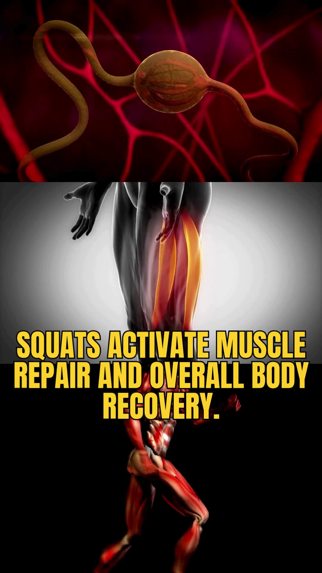 This Is How Squats Heal Your Body Squats are more than just a workout