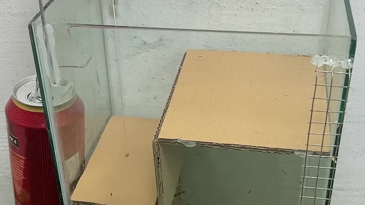Fall into the trap Elevator-style mousetrap