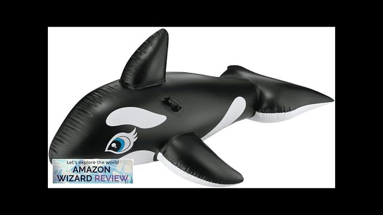 INTEX Ride-On Inflatable Pool Float Review