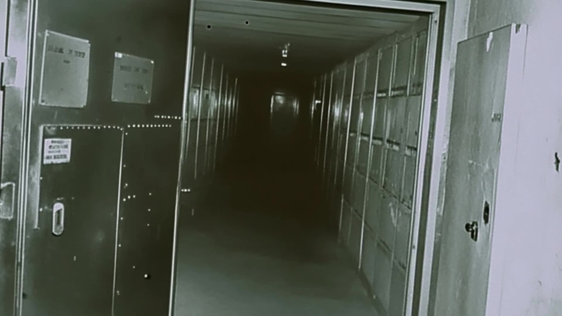 A HUMAN CENTIPEDE-THE INDIAN EXPERIMENTS OF THE 70s