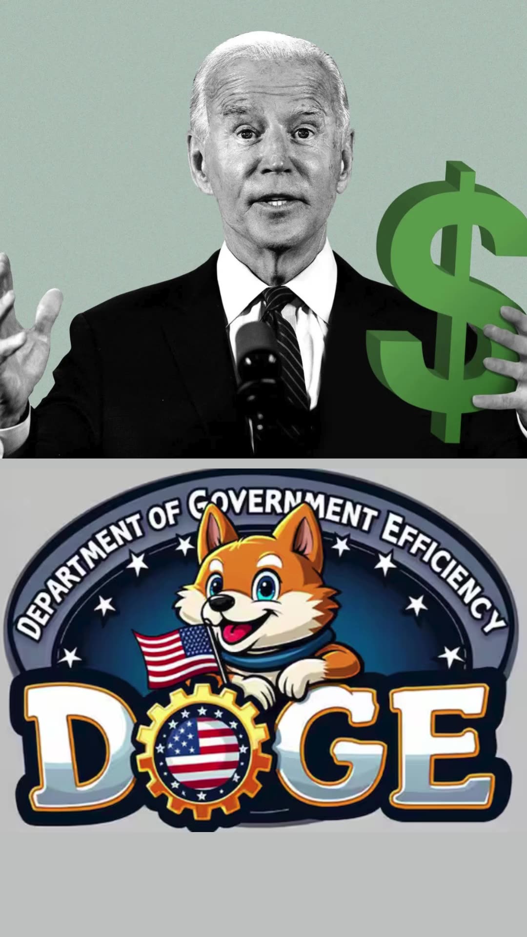 . "From Tech Wizard to DOGE Team: Elon Musk's Big Balls Move