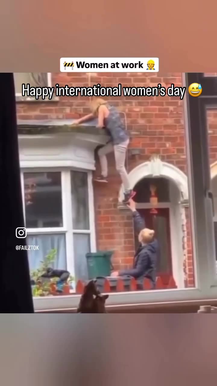 Politics - 2025 Humor Gender Happy International Womens Day Especially ...