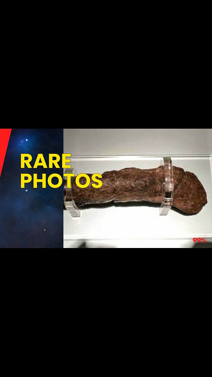 Rare Photos: $39,000 Poop and Giant Redwood Tree - Must-Watch!