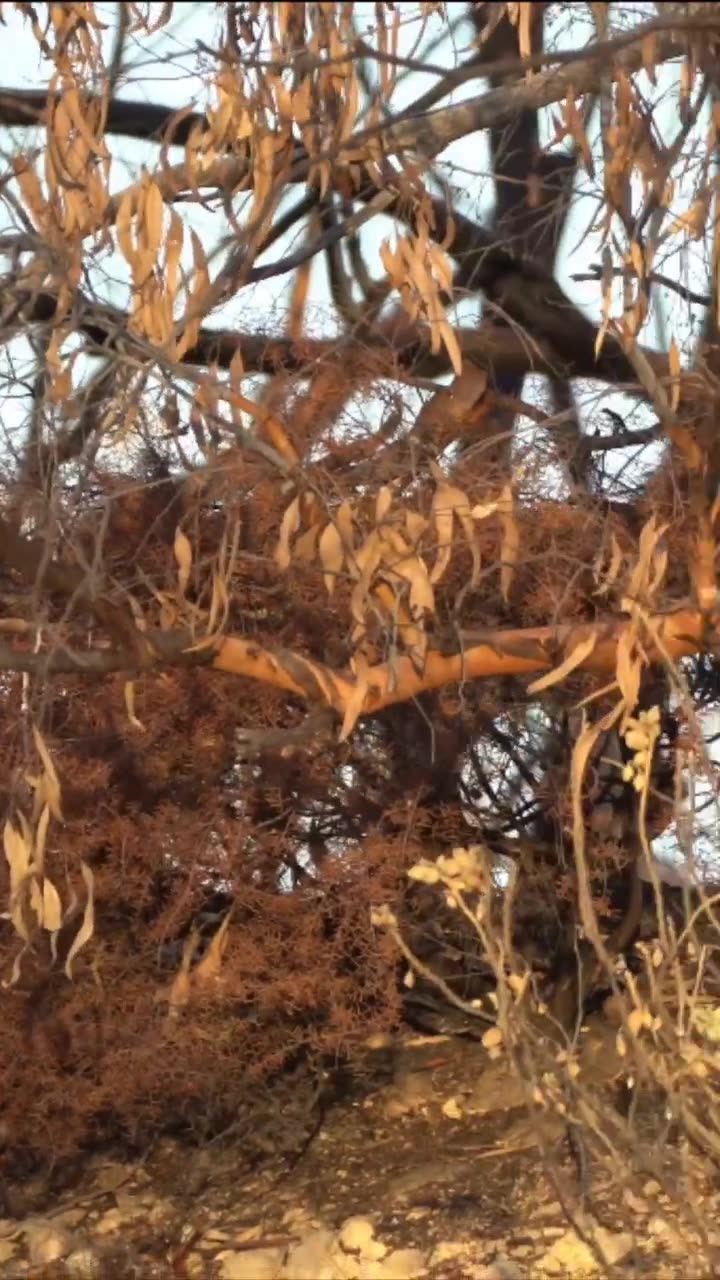 I was lying down by the dam behind my house on sanctuary,