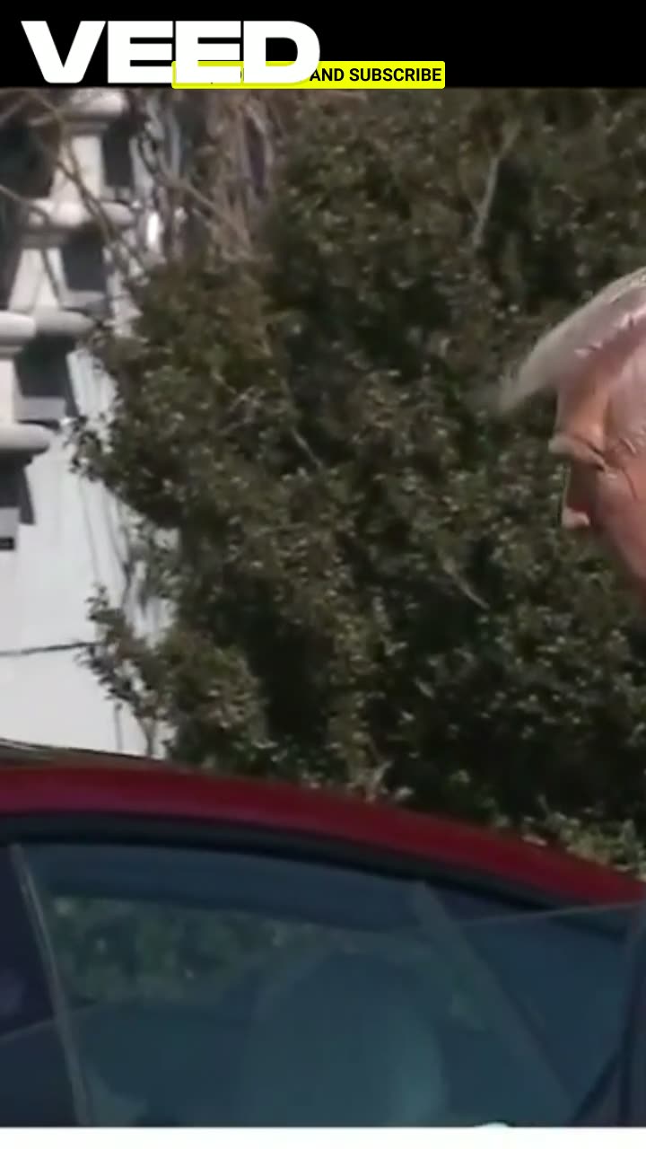 BREAKING NEWS_ Trump Gets Behind Wheel Of Tesla For First Time At ...