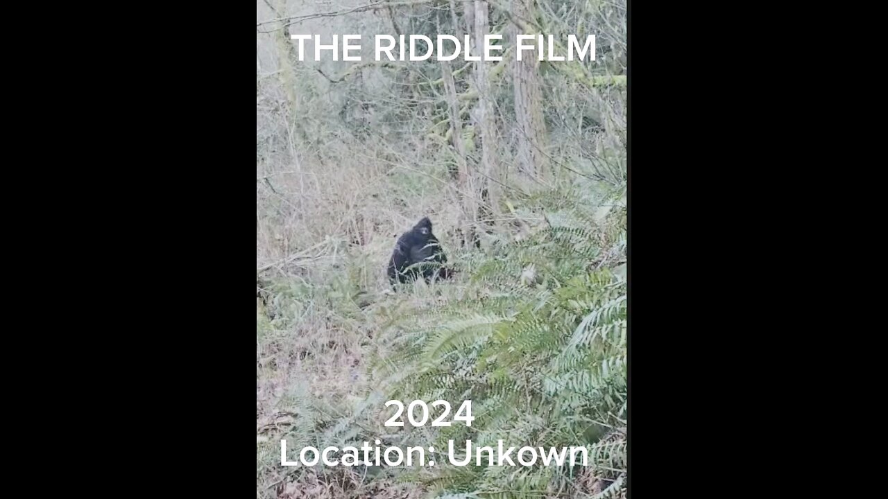 The Riddle Film