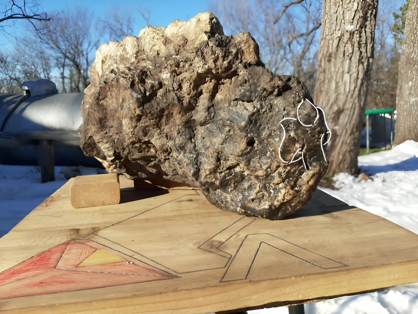 Morphological analysis of Earth adolescent T-Rex School