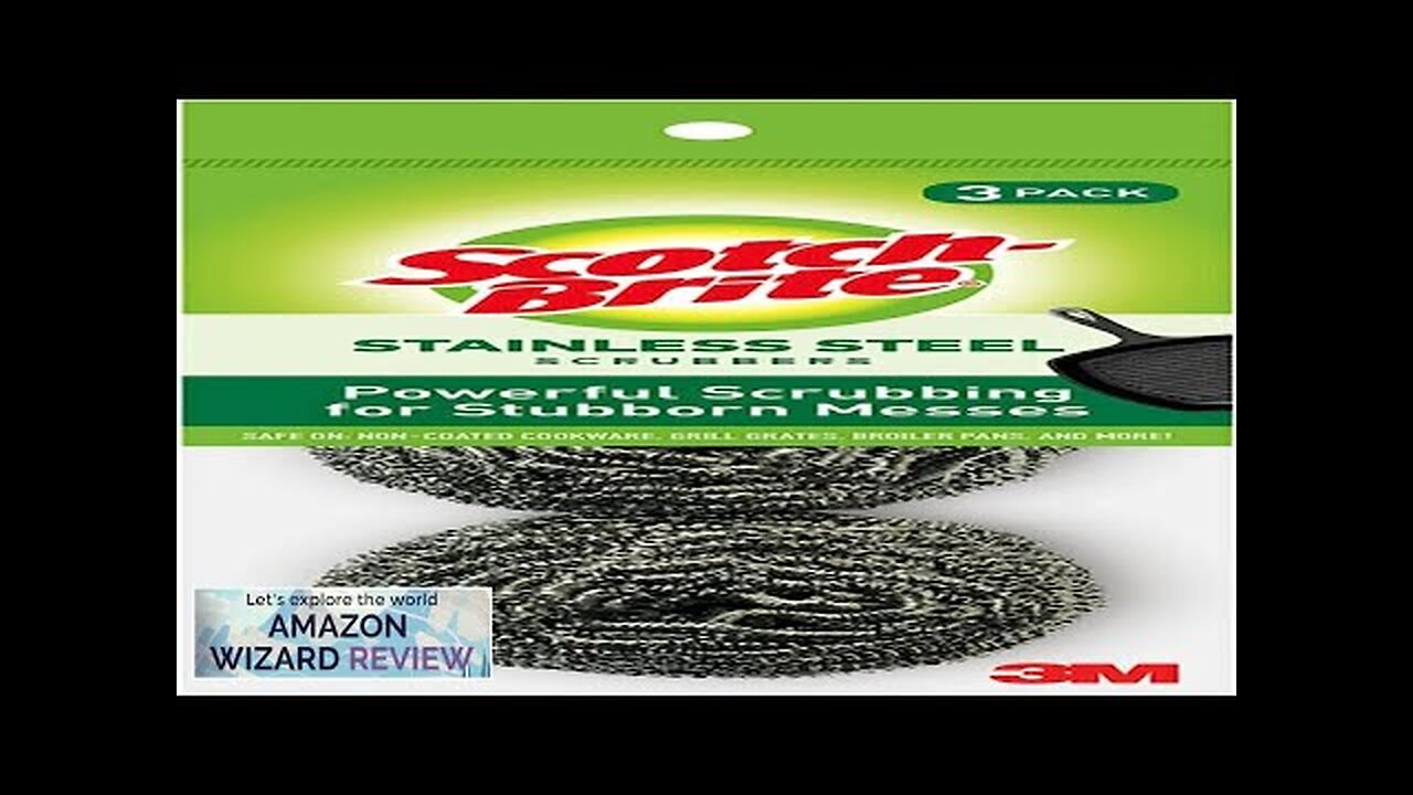 Scotch-Brite Stainless Steel Scrubber Dish Scrubbers for Cleaning ...