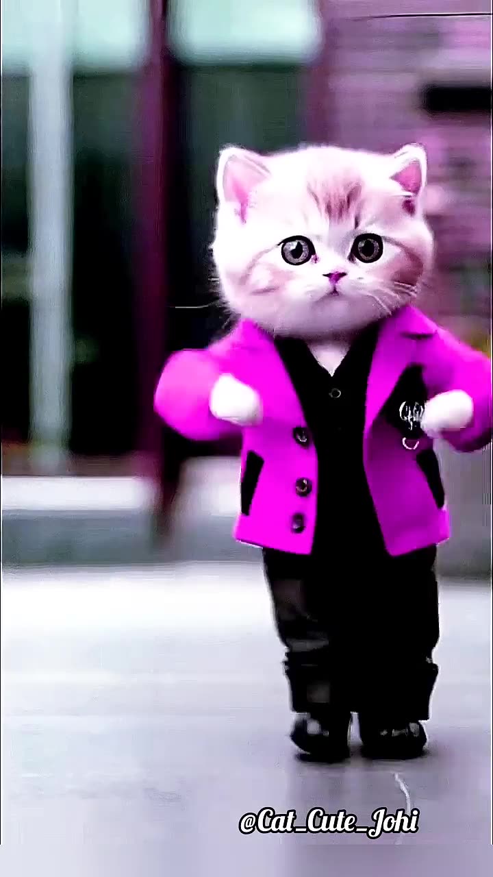 Crazy_Cute_Cat_Dancing_💜😹___#cu#cats_t_#os_#sh_#viral(720p)