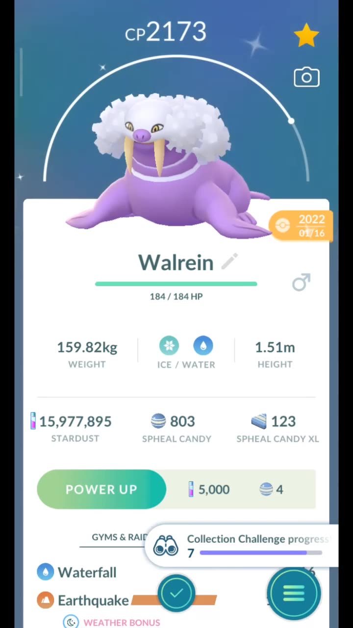 Pokémon GO-Evolving Shiny Sealeo