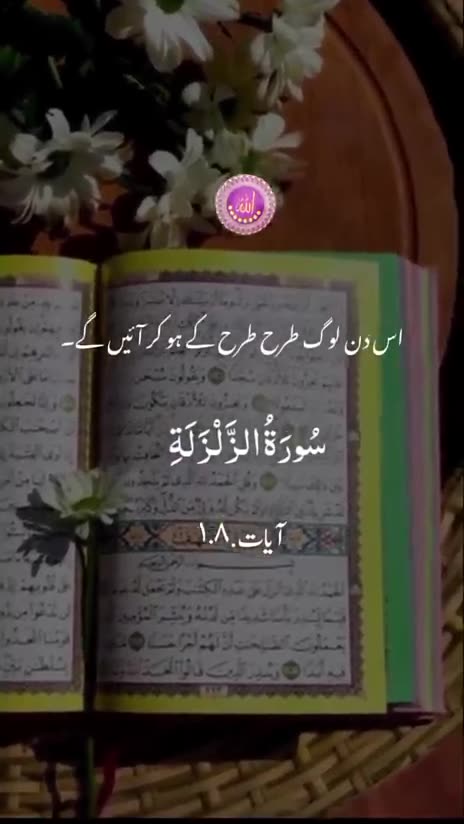 Beshak 💯