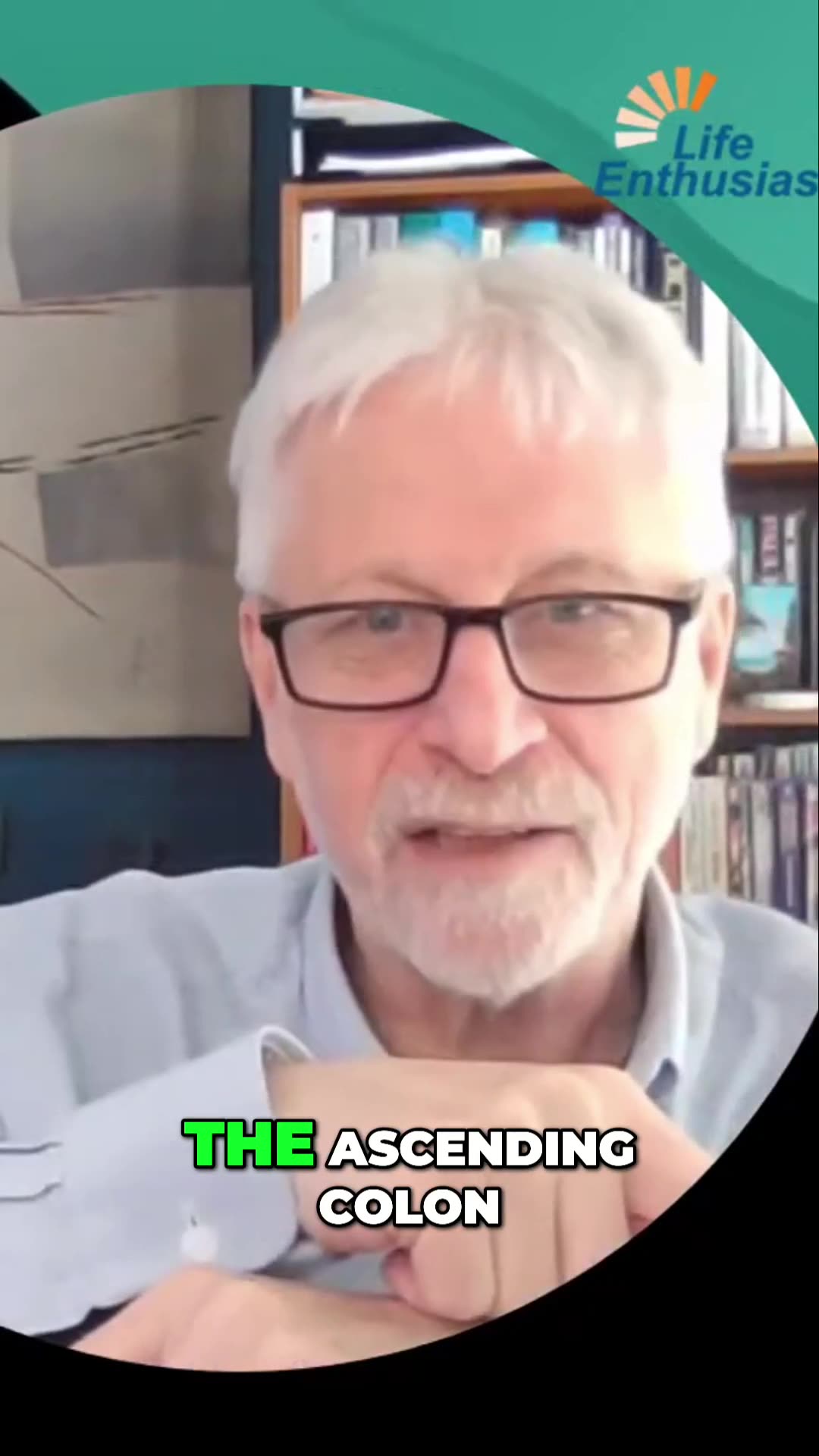 Understanding the Colon: A Journey Through Your Digestive System