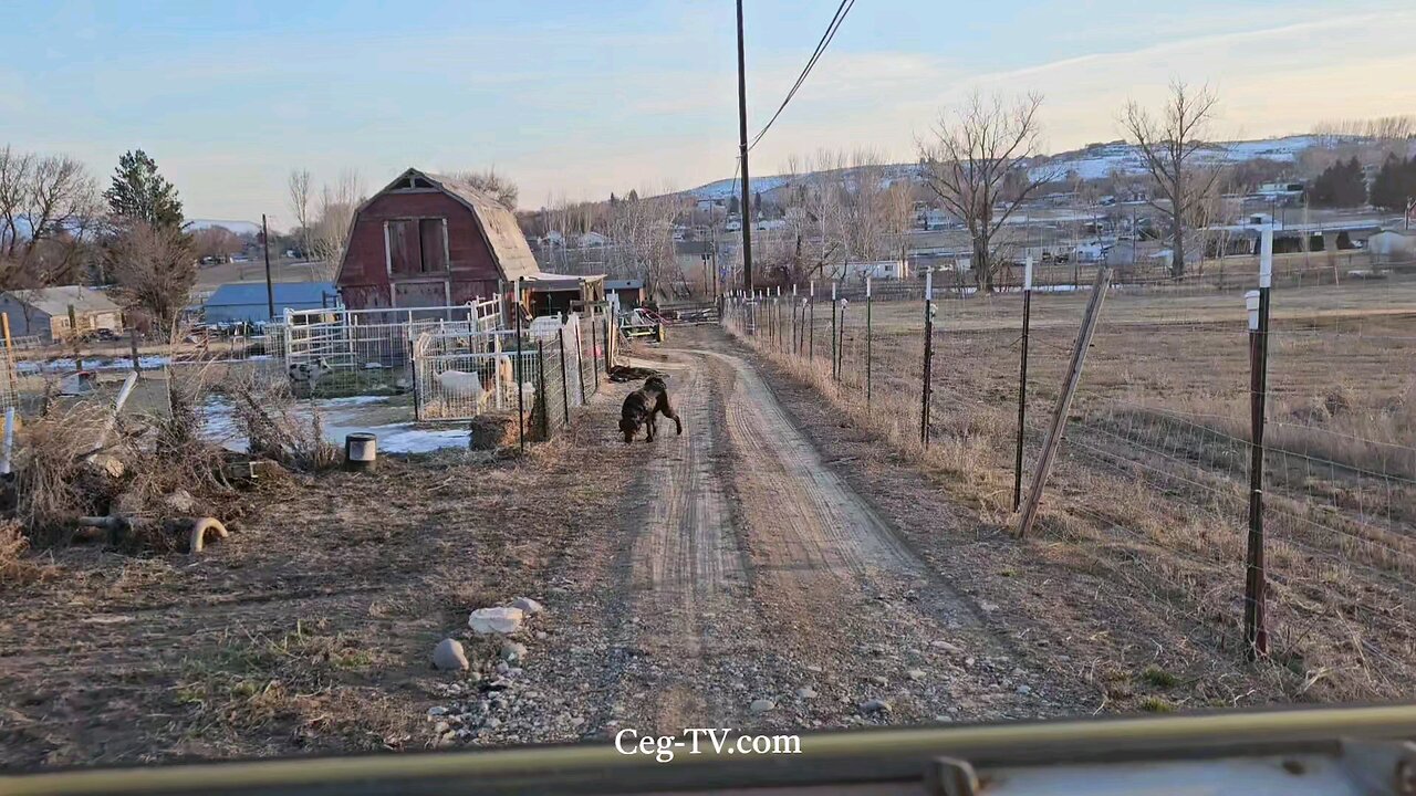 Graham Family Farm: 4:50 PM February 12th 2025