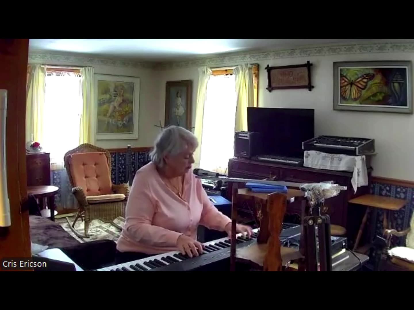 Song for the 2nd Inaugeration of President Donald Trump - "Elevator Man"