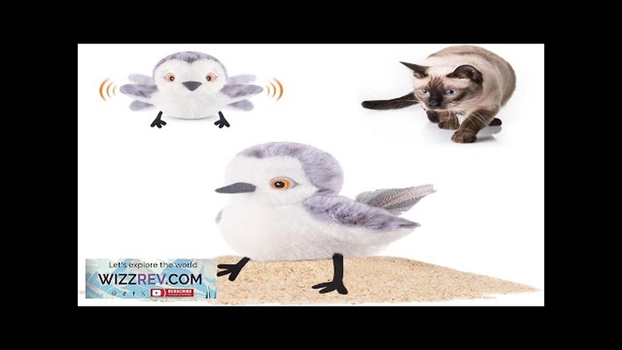 Potaroma Cat Toys Flapping Bird (No Flying) Lifelike Sandpiper Chirp ...
