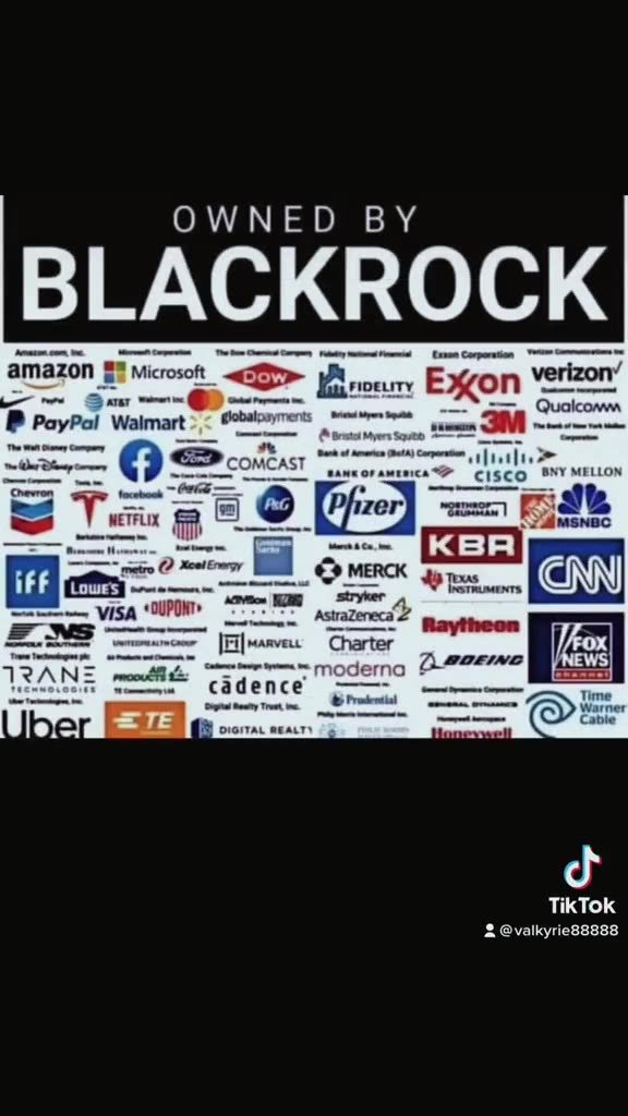 Tim Rifat TikTok videos